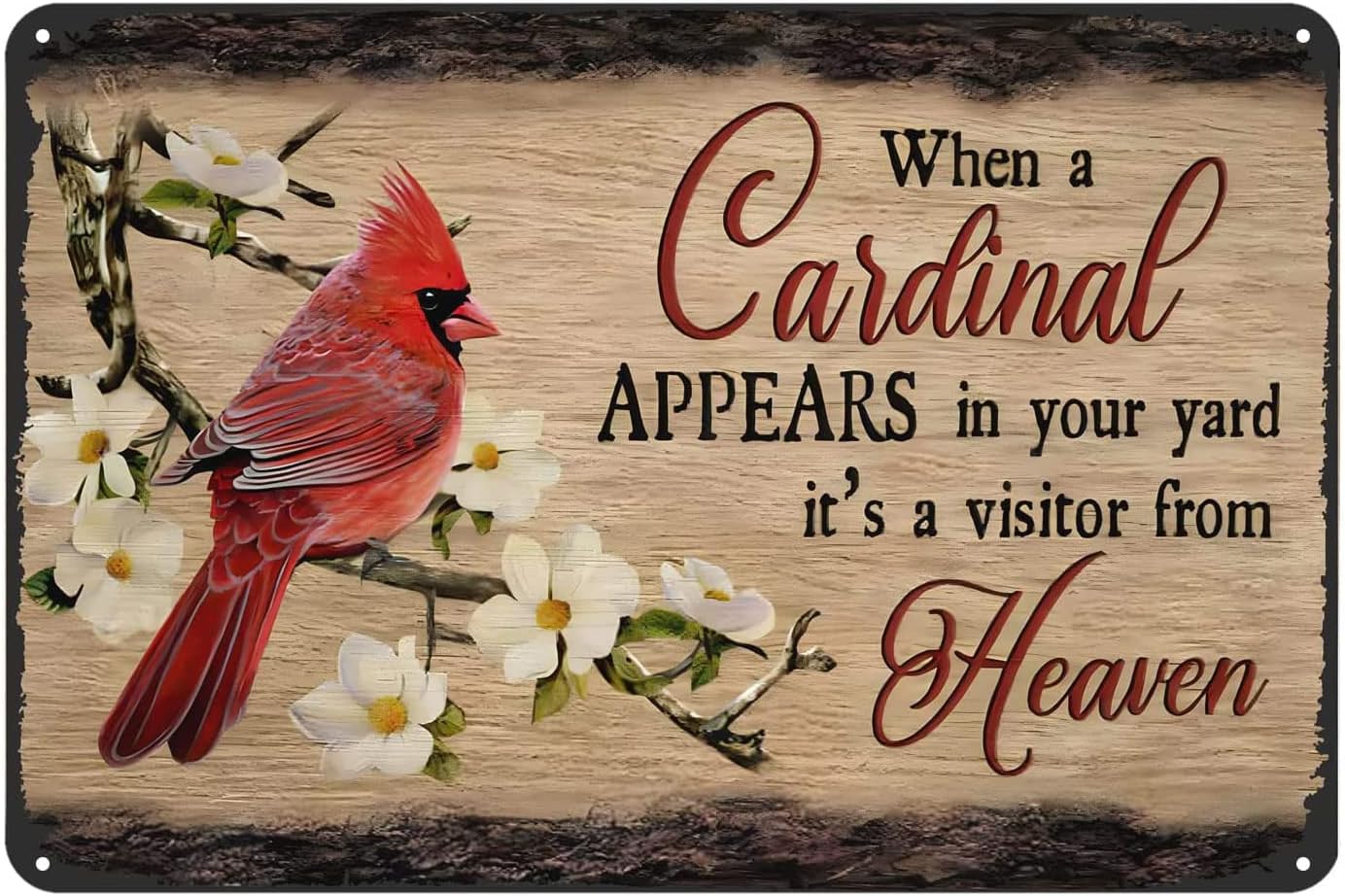 Amazon.com: When A Cardinal Appears in Your Yard Its A Visitor from ...