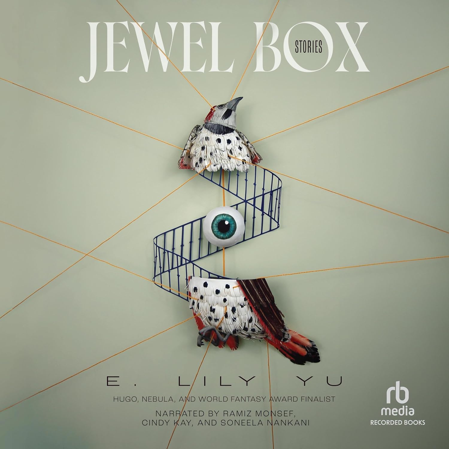 Amazon.com: Jewel Box: Stories (Audible Audio Edition): E. Lily Yu ...