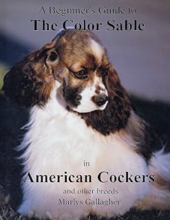 The Best Places To Purchase A Sable Pet | PetShun