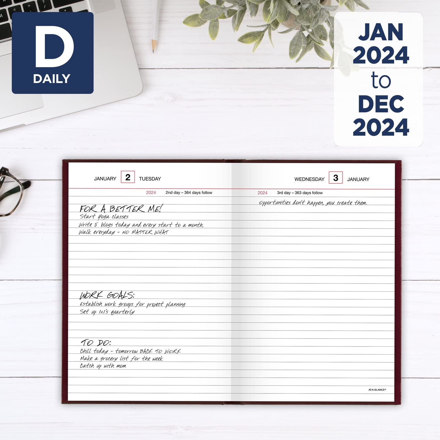 Snapklik.com : AT-A-GLANCE 2024 Daily Diary, Standard Diary, 5-1/2" X 8 ...