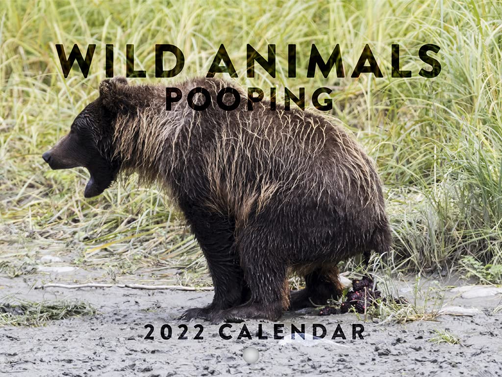 Buy Funny Wild Animal Pooping 2023 Monthly Wall Hanging Gag Gift Parody ...