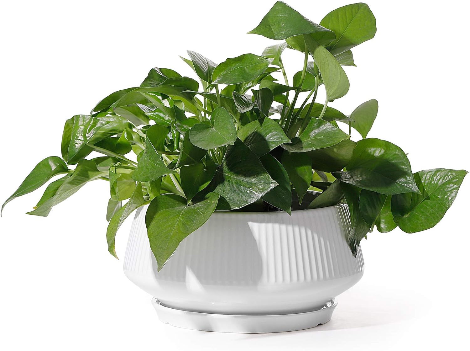 Amazon.com : POTEY Large Plant Pots 8.8 Inch Outdoor Indoor Ceramic ...