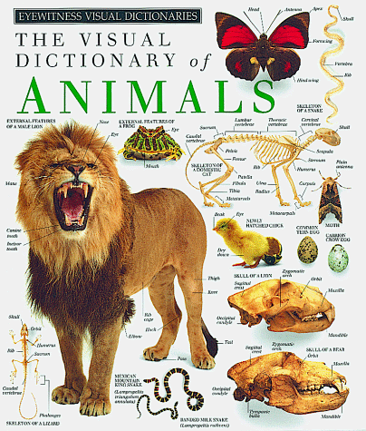 The Visual Dictionary of Animals: Dorling Kindersley Publishing ...