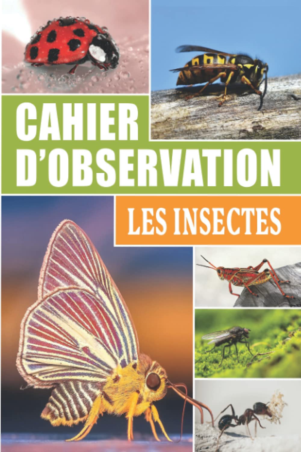 Buy Cahier d'Observation Les Insectes: Carnet d'Observation et Journal ...