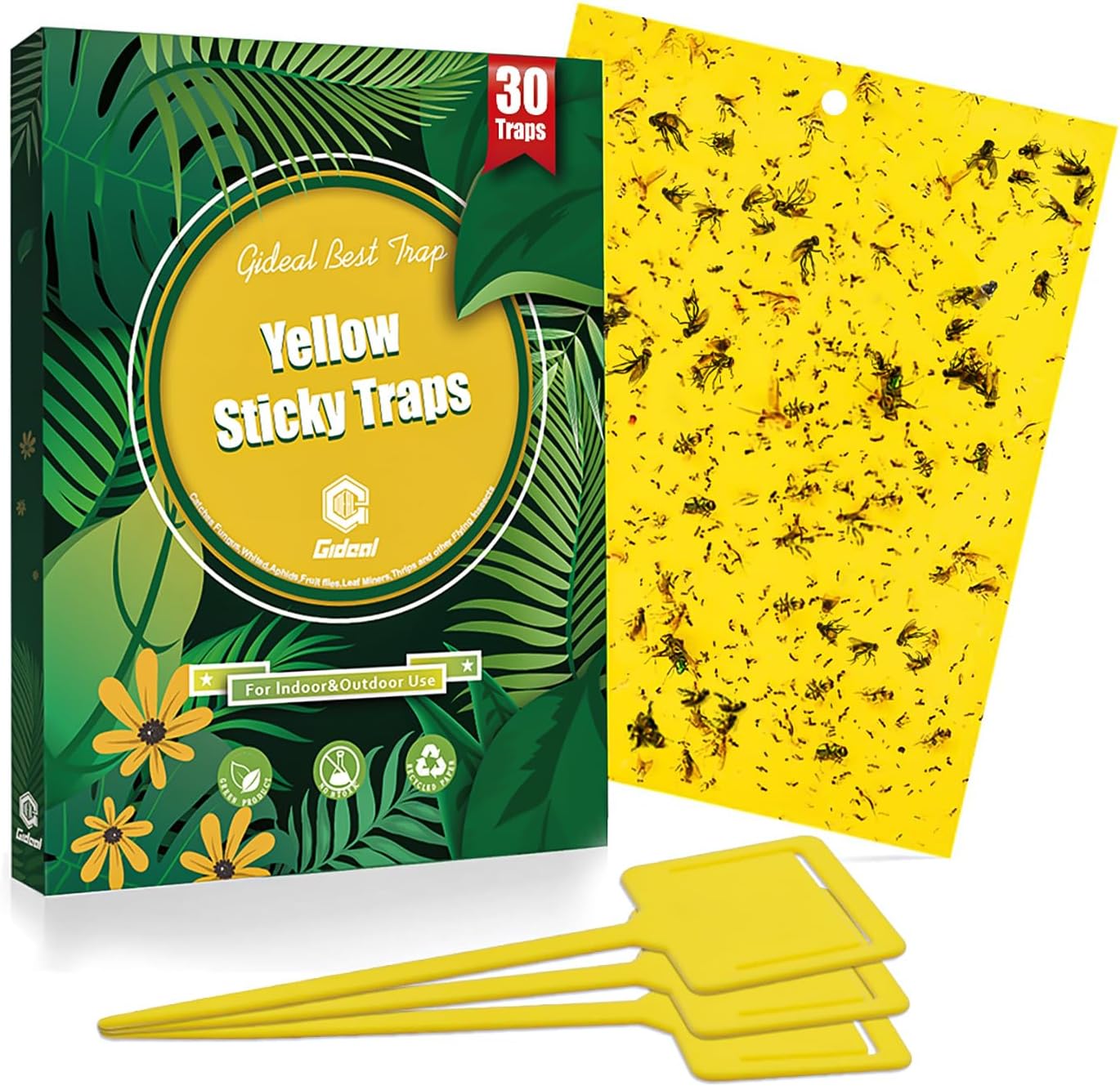 Amazon.com : Gideal 30-Pack Dual-Sided Yellow Sticky Traps for Indoor ...