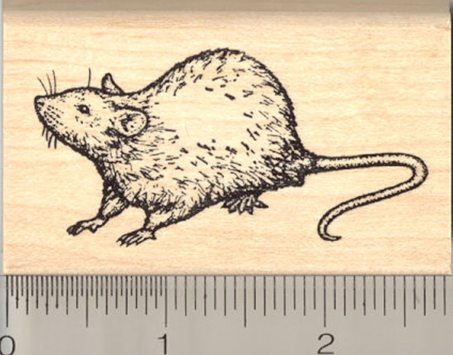 Amazon.com: Rat Rubber Stamp : Toys & Games