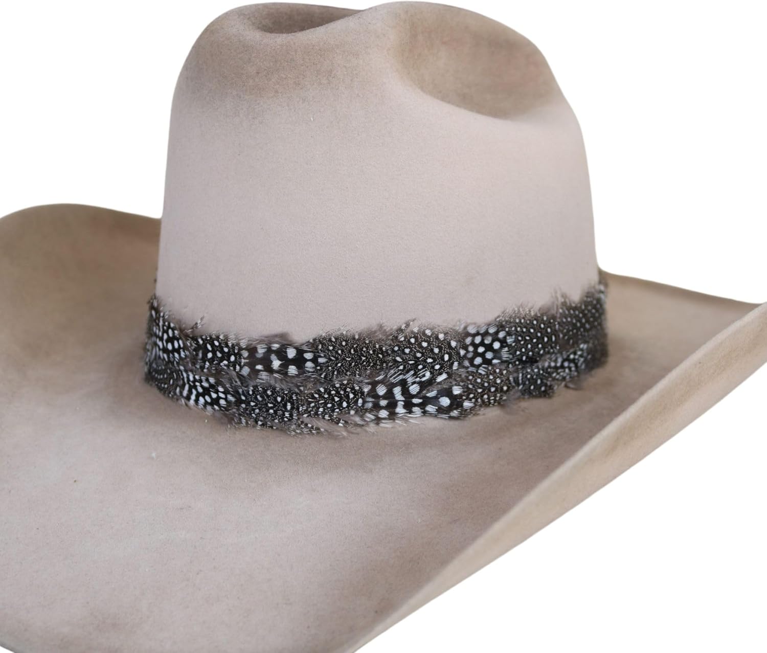 Amazon.com: Western Feather Hat Band for Cowboy Hats and Fedoras for ...