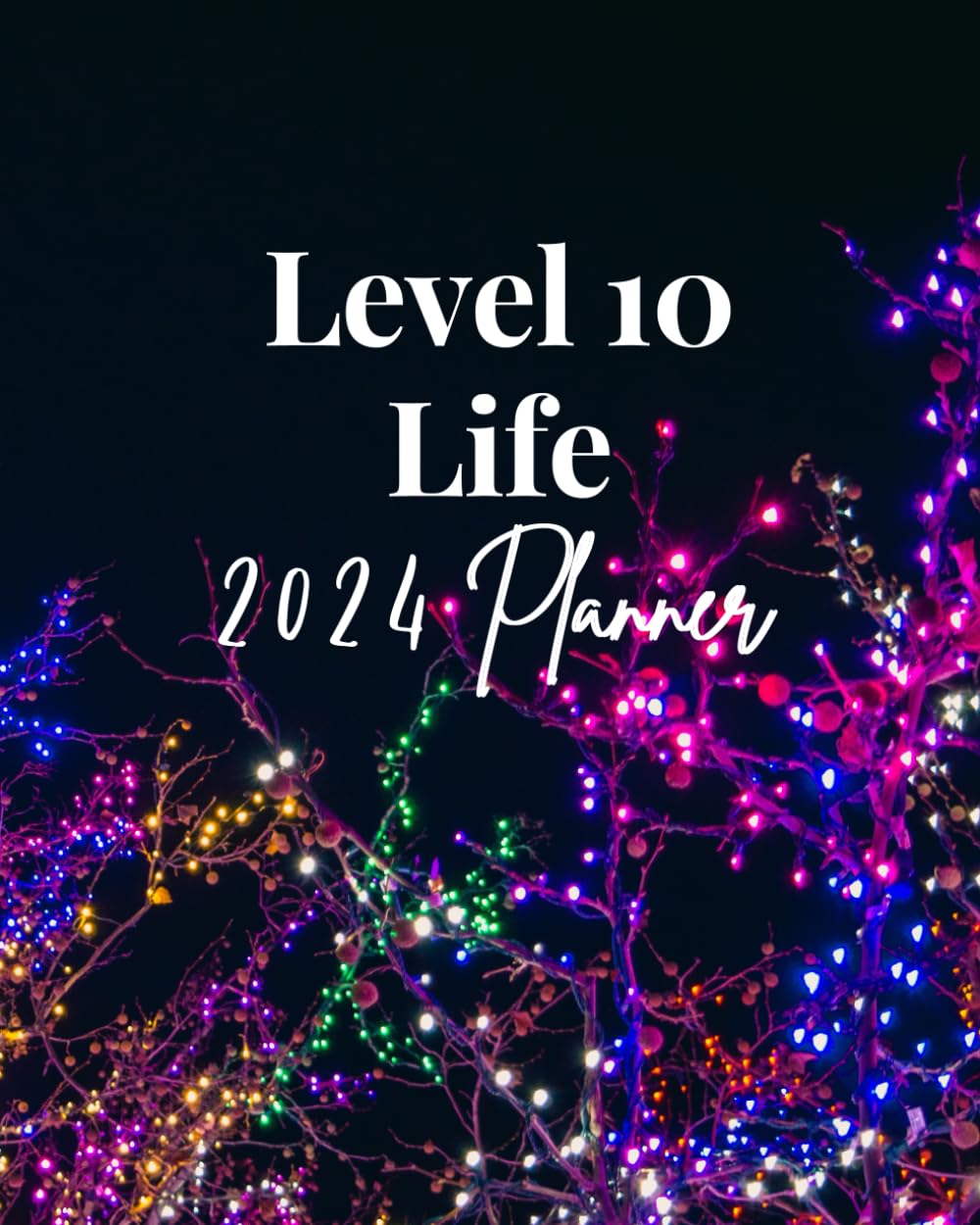 Amazon.com: Goal setting planner 2024 | 12 month guided planner to ...