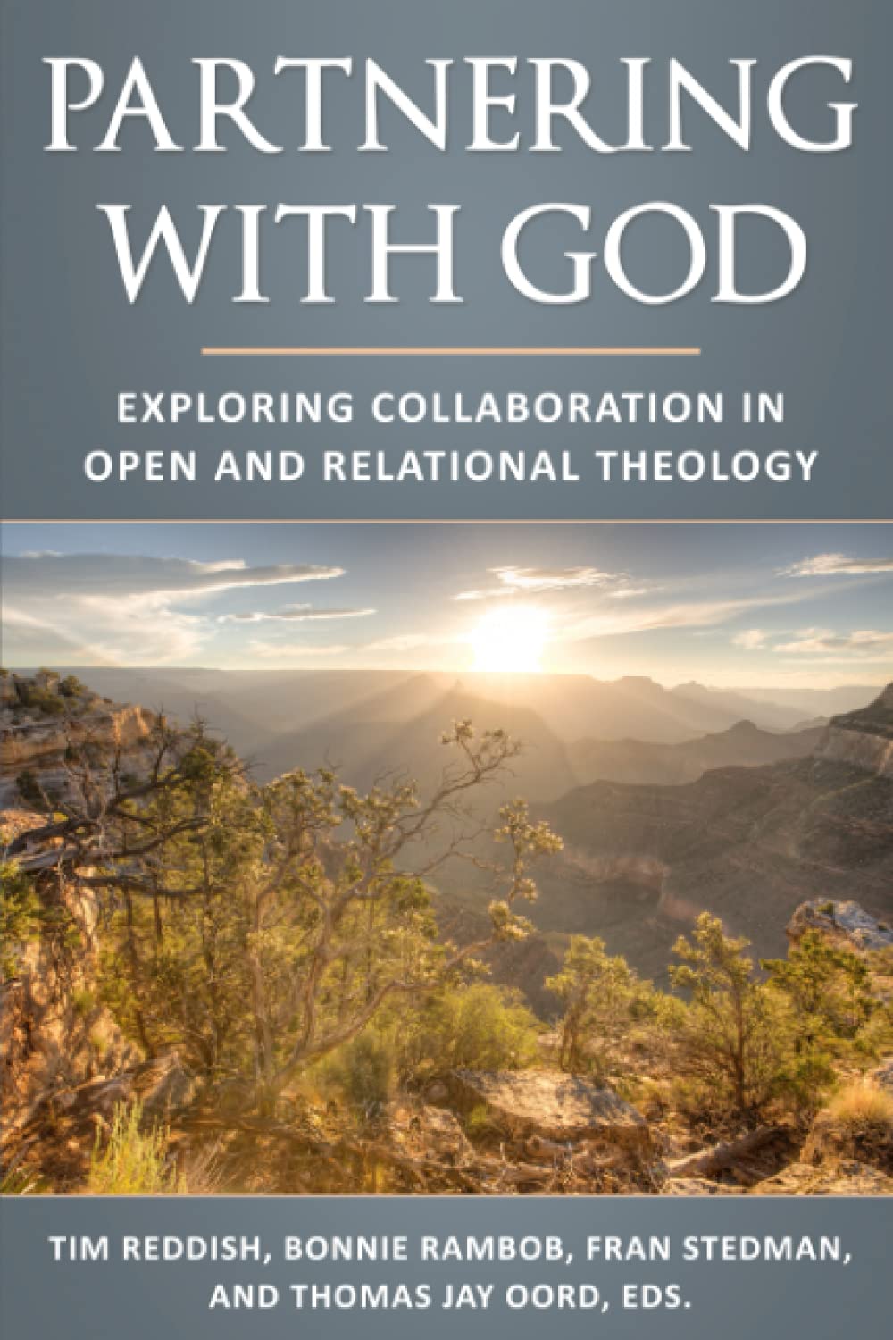 Partnering with God: Exploring Collaboration in Open and Relational ...
