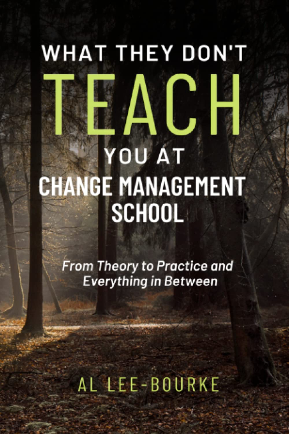 What They Don't Teach You at Change Management School: From Theory to ...