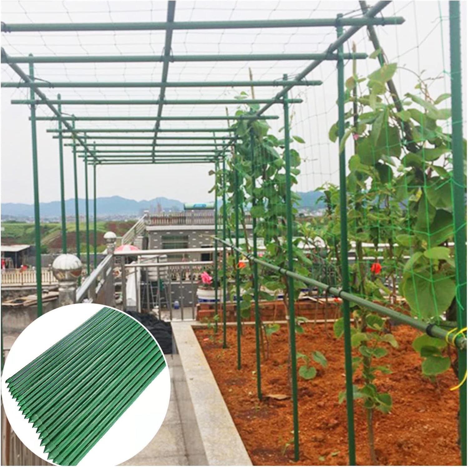 HJZALMI Plastic Coated Tomato Stakes, Steel Plant Stick Support, Garden ...