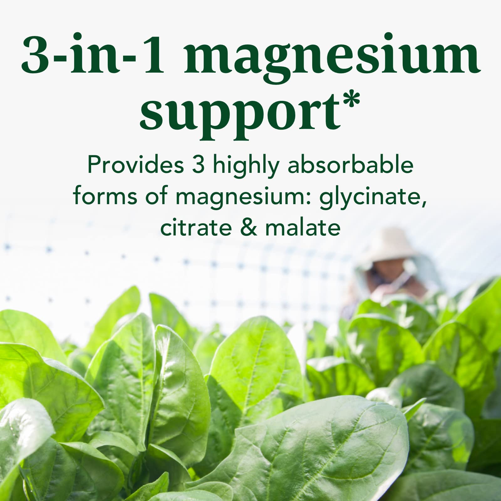 Snapklik.com : MegaFood Magnesium 300 Mg - Highly Absorbable Blend Of ...