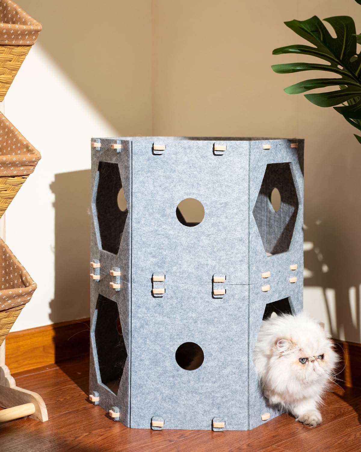 Amazon.com: Indoor Cat Condo for Cats&Small Dogs, Muzzique DIY Large ...