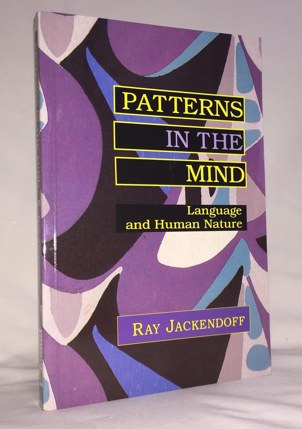 Patterns in the Mind: 9780745009636: Amazon.com: Books