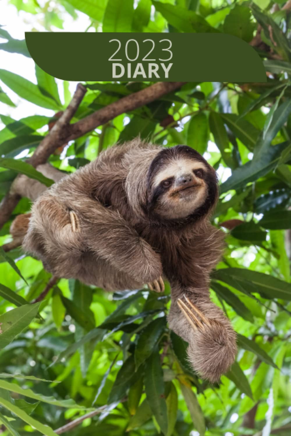 Sloth Diary 2023 Planner Checklist 2023 2024 Calendars Contact Details ...