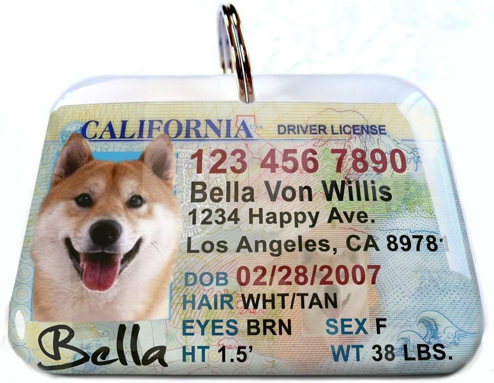 Amazon.com : ID4Pet New California Driver License Pet Identification ...