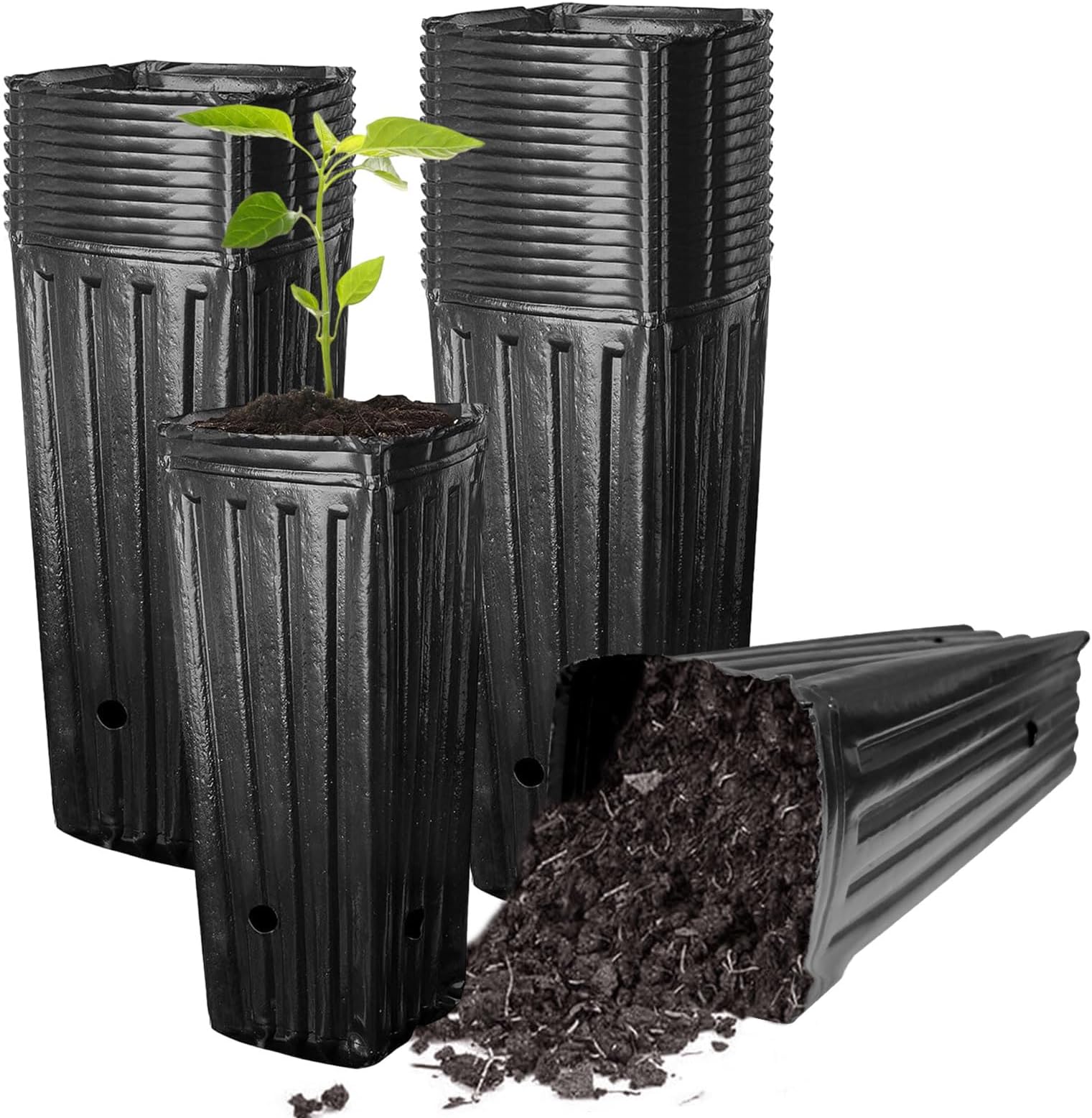 Amazon.com : CZ Grain Tall Tree Pots - 4 x 12 Inch Containers for ...