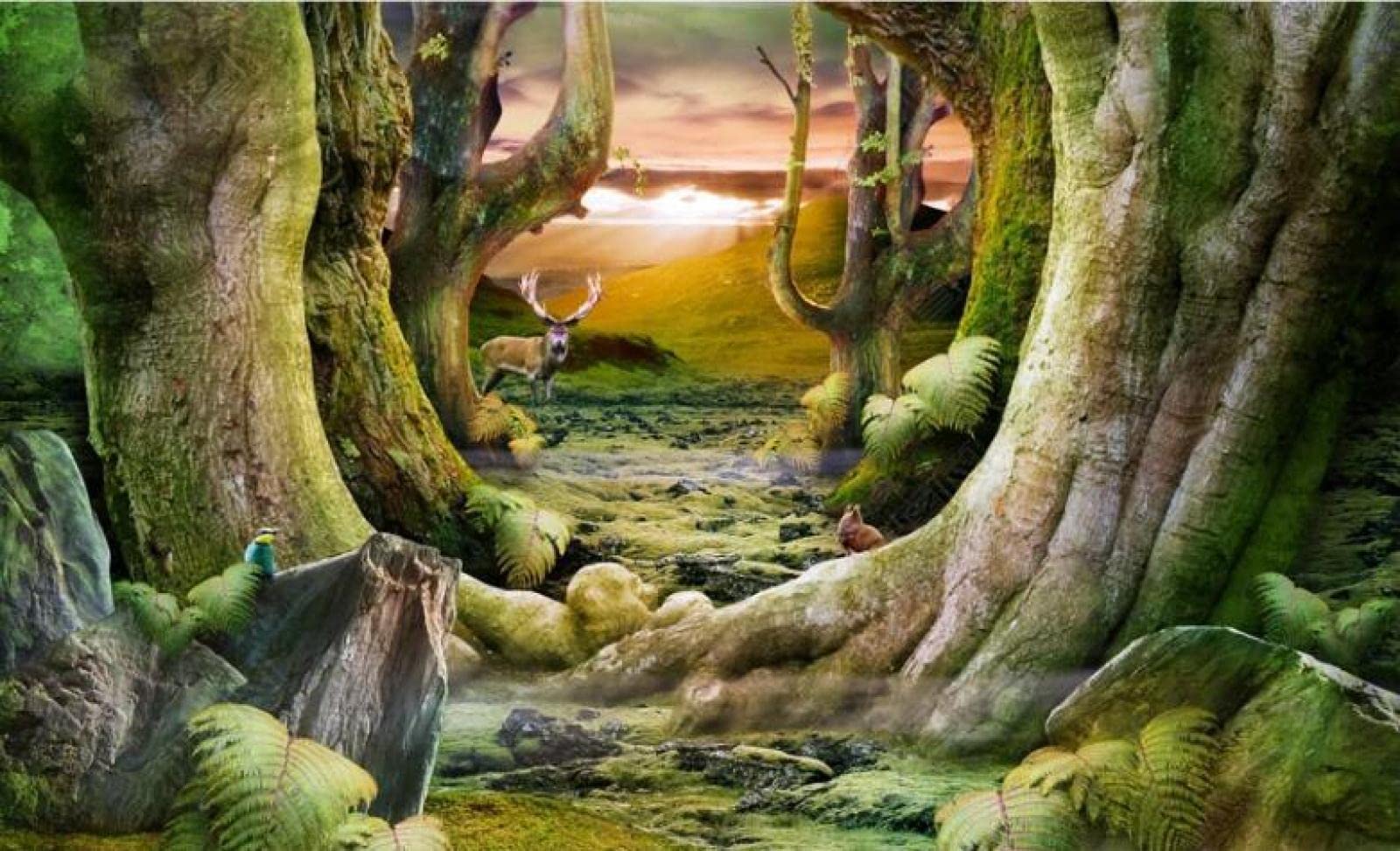 Fantasy Forest Wizard Wallpaper