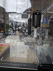 Tetra LED Cube Kit 3G : Amazon.ca: Pet Supplies