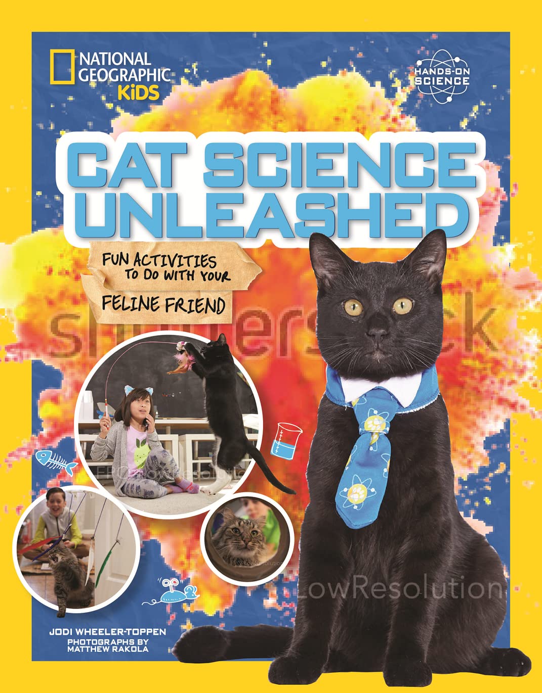 Cat Science Unleashed: Fun activities to do with your feline friend ...
