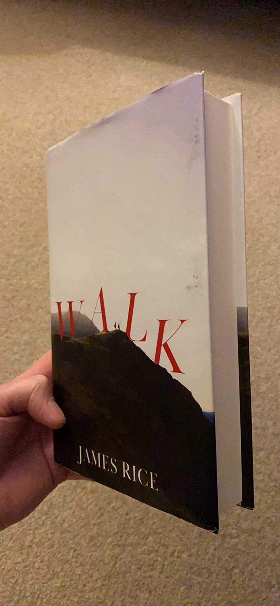 Walk: A Novel: Amazon.co.uk: Rice, Alice And The Fly James ...