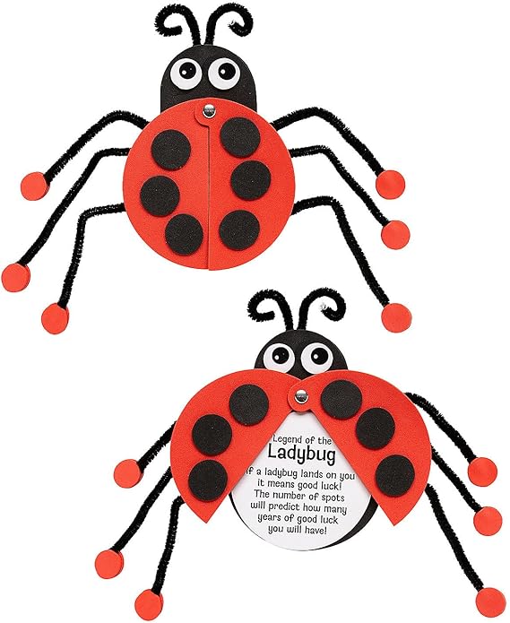 Amazon.com: Fun Express Legend of Ladybug Craft Kit - Fun DIY Craft ...