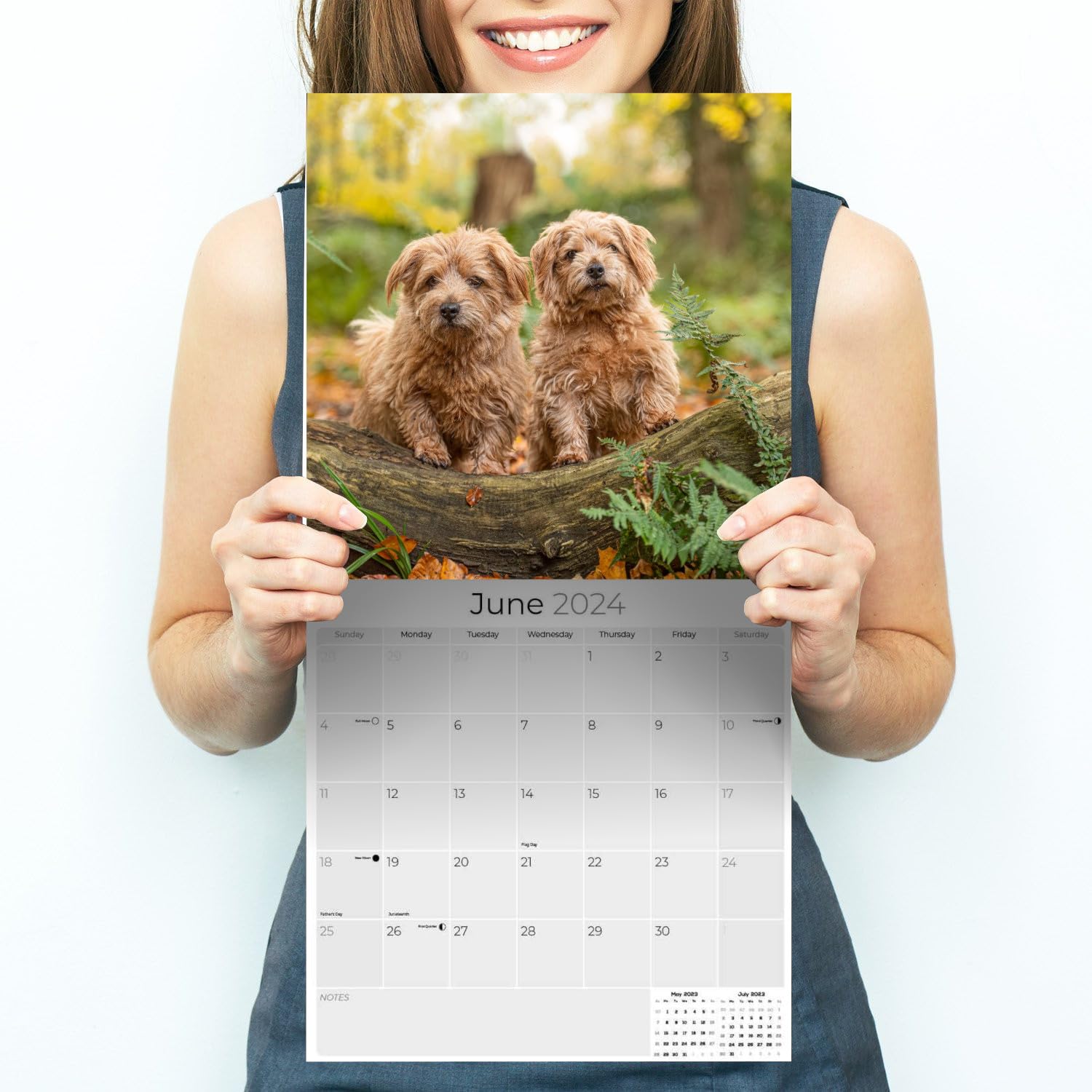 Snapklik.com : 2022 2023 Norwich,Norfolk Calendar,Dog Breed Monthly ...