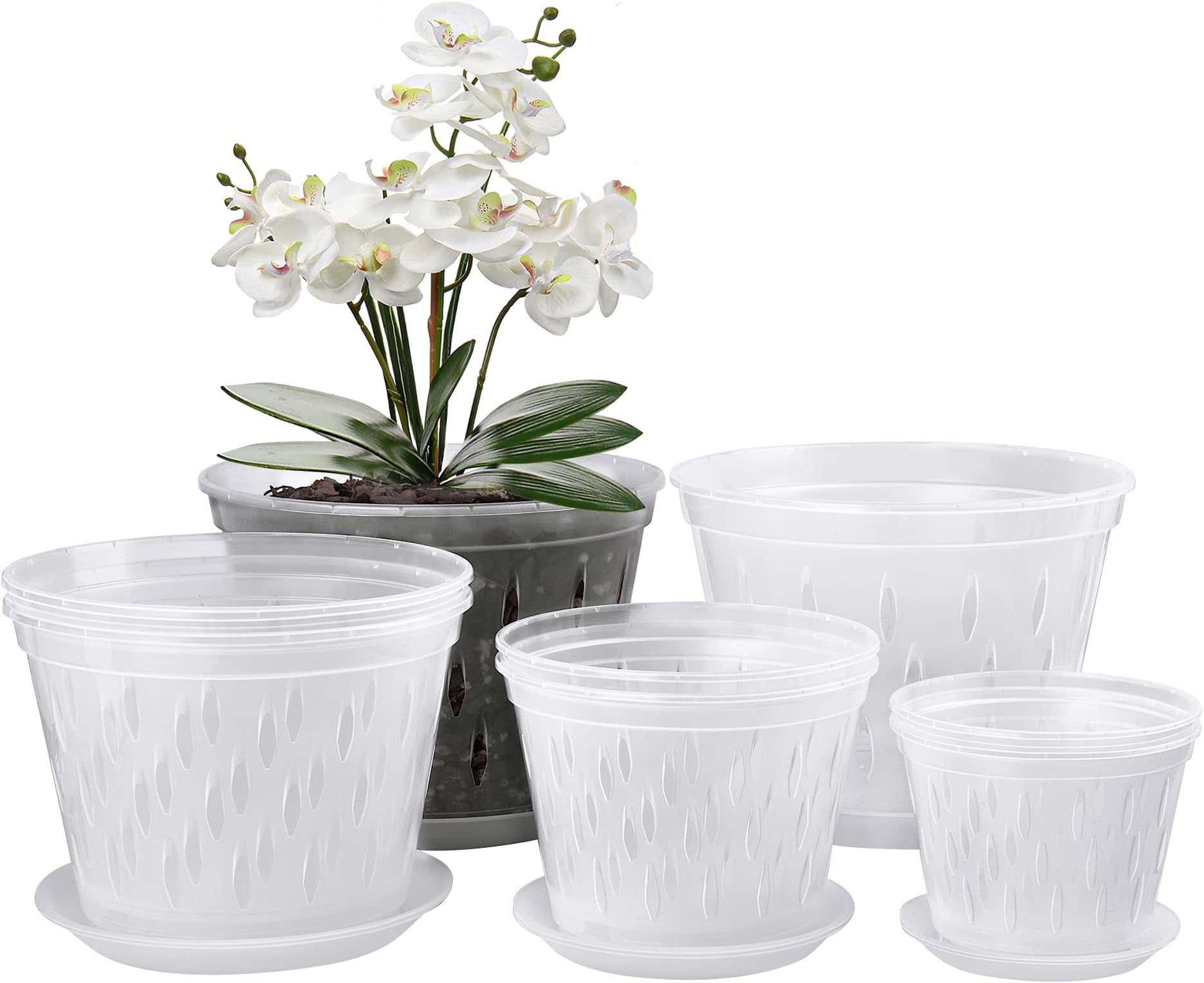 Amazon.com: Self Watering Orchid Pots for Lazy People, 6in/6.5in/7in ...