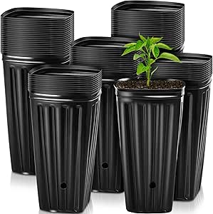 Amazon.com: Tessco 50 Pcs 7.8 Inch Plastic Nursery Pots Tall Tree Pots ...