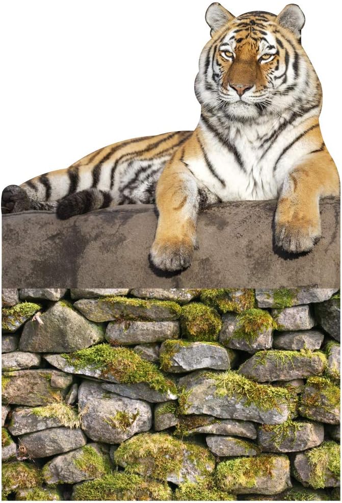 Amazon.com: SP12053 Tiger on Pedestal Cardboard Cutout : Home & Kitchen