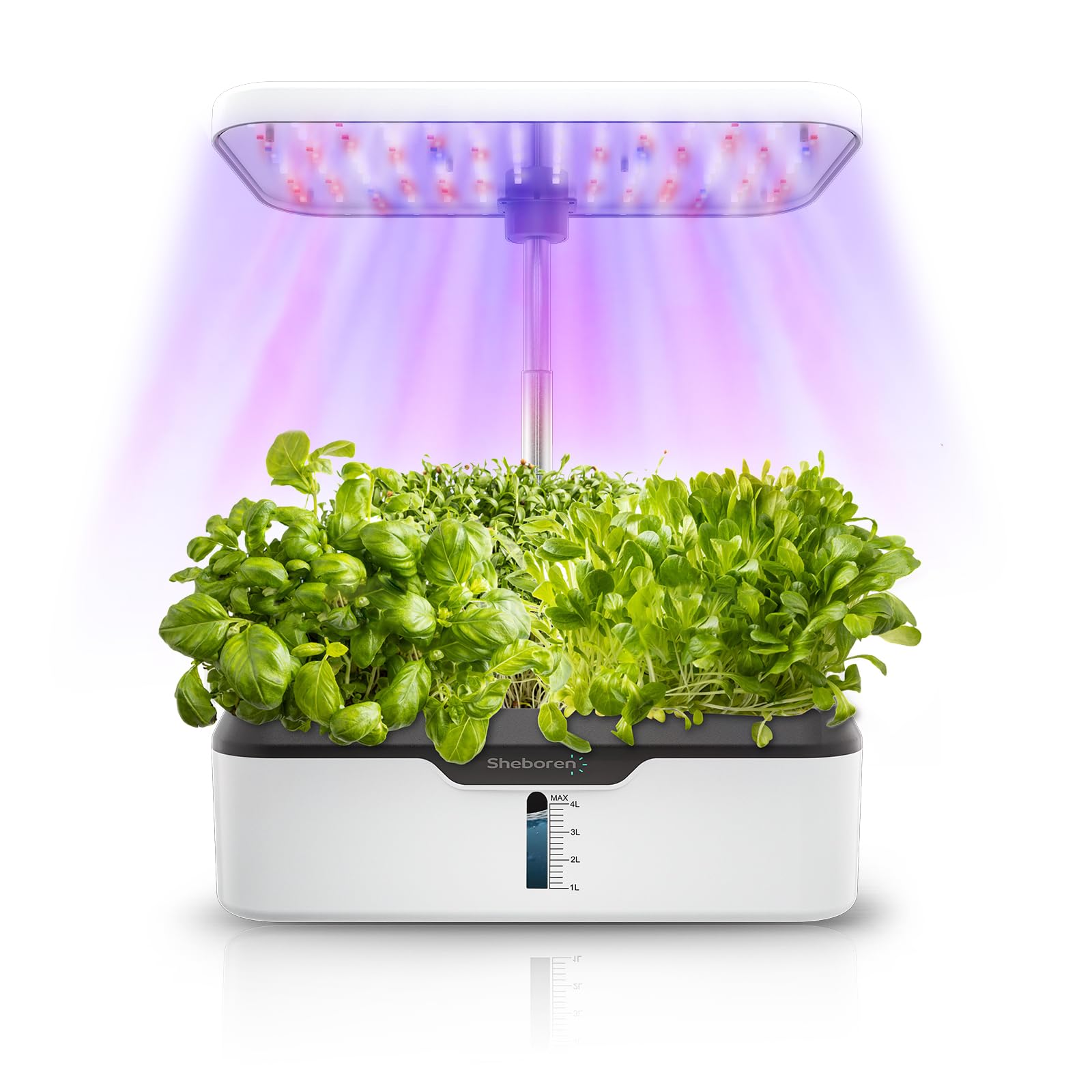 Amazon.com : 12 Pods Hydroponics Growing Indoor Sheboren Indoor Herb ...