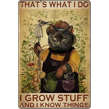 Amazon.com: Cat Retro Style Metal Tin Sign, Coffee and Bar Wall Art ...
