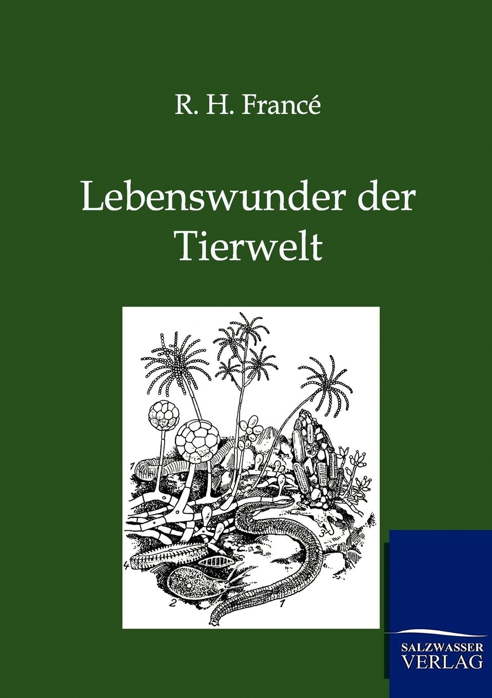 Amazon.com: Lebenswunder der Tierwelt (German Edition): 9783864445149 ...