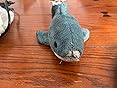 Pet Supplies : Fluff & Tuff Tank The Shark : Amazon.com