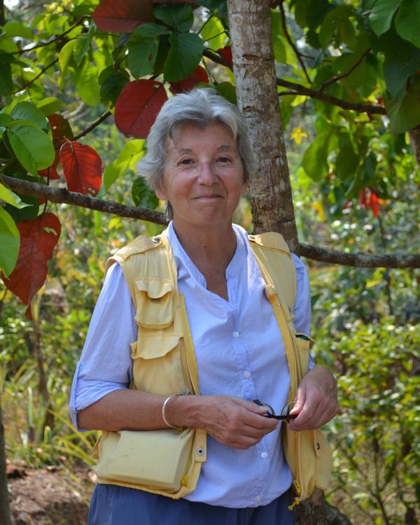 Amazon.com: Paula DiPerna: books, biography, latest update