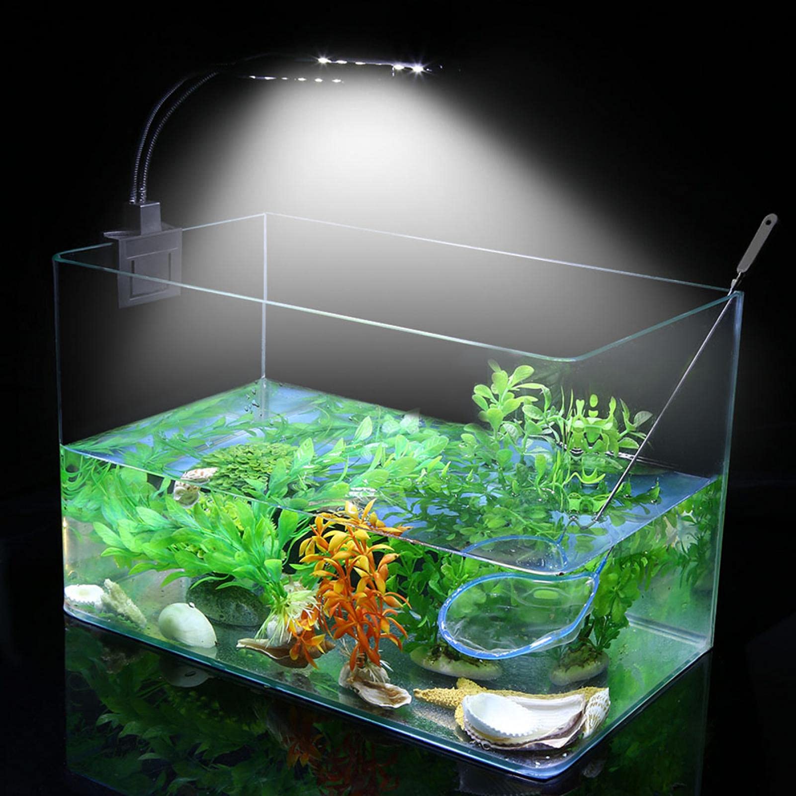 Fish Aquarium Lighting Systems PLED Aquarium LED Lights 310 1150mm