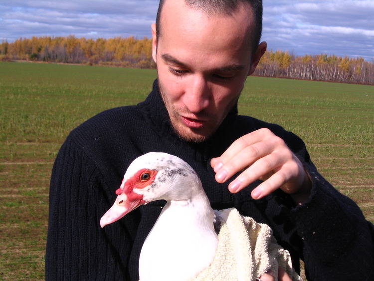 Amazon.fr: Alexandre Duclos: livres, biographie, dernière mise à jour