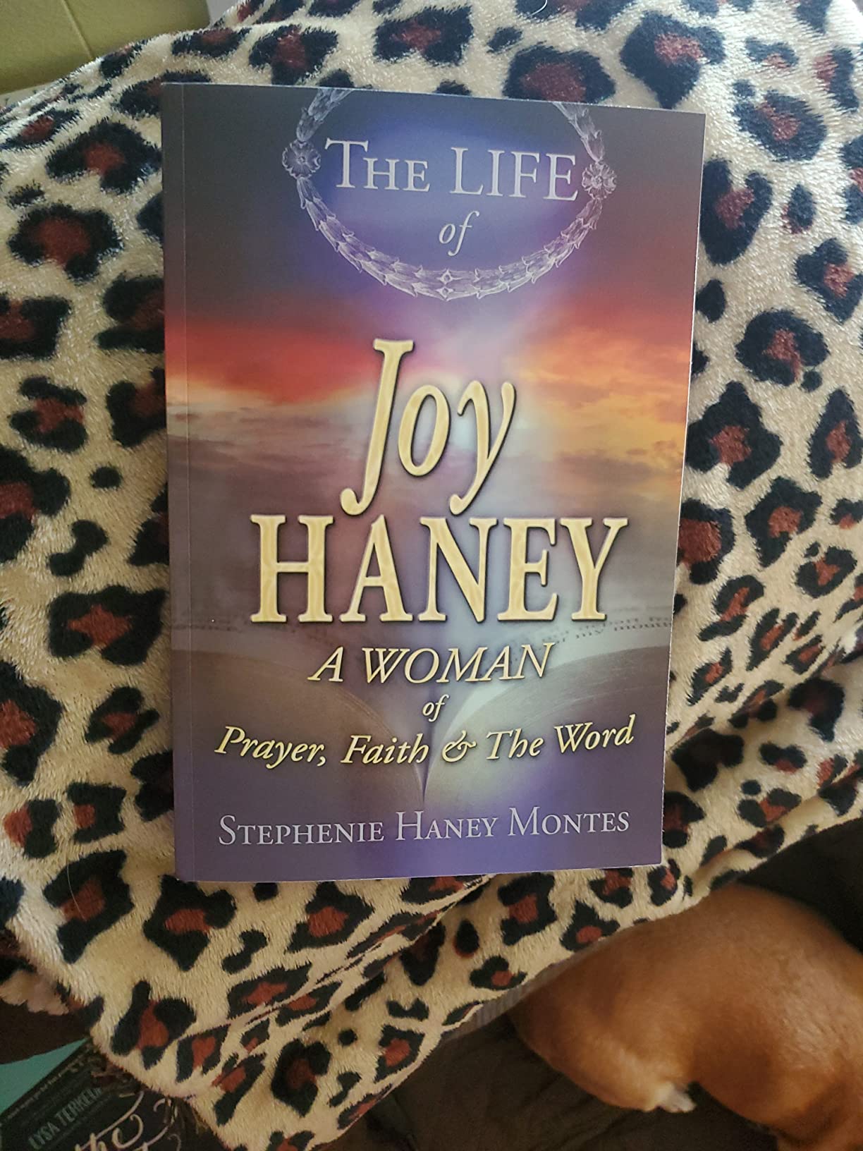 The Life of Joy Haney: A Woman of Prayer, Faith and the Word: Haney ...