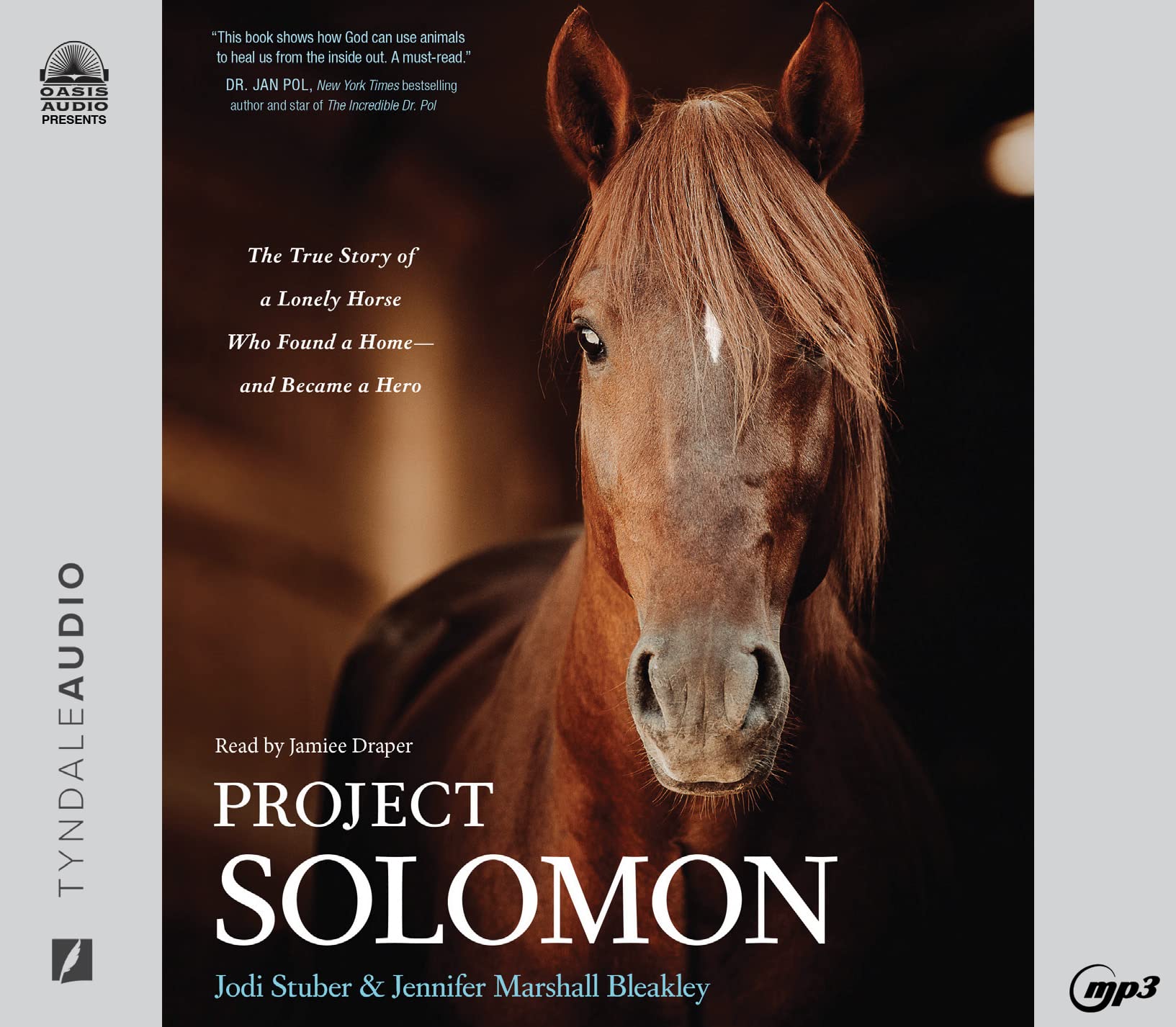 Project Solomon: The True Story of a Lonely Horse Who Found a Home ...
