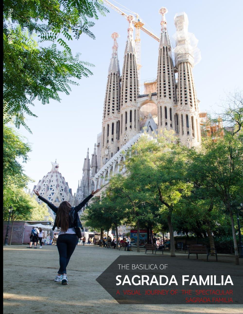 The Basilica Of Sagrada Familia: A Visual Journey Of The Spectacular ...