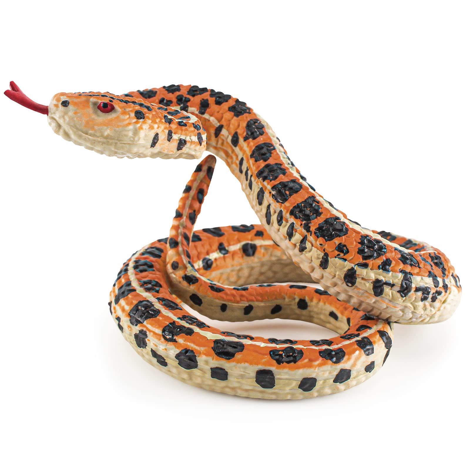 Rattlesnake Model