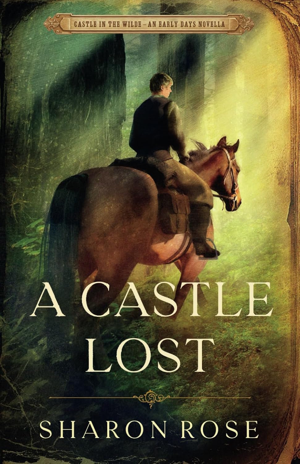A Castle Lost: Castle in the Wilde - An Early Days Novella: Rose ...