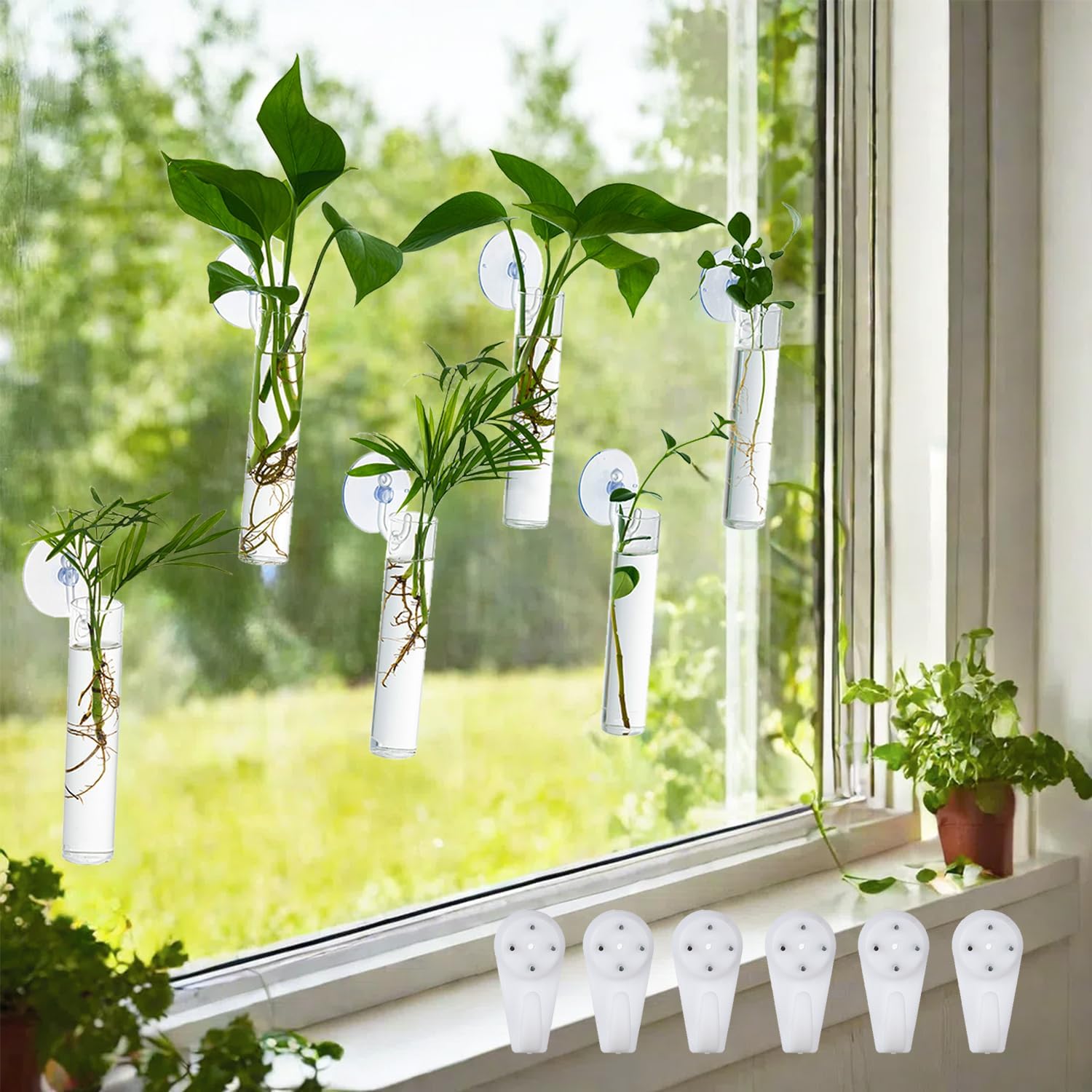 Amazon.com: Bunmery 6 pcs Window Propagation Stations, Plant ...