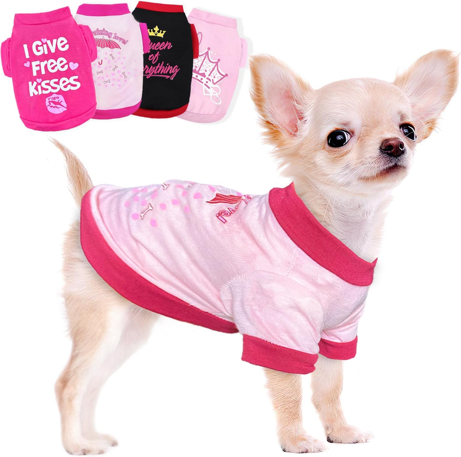 Amazon.com : PETCARE 3 Pack Dog Shirt Cute Puppy Dog Clothes for Small ...