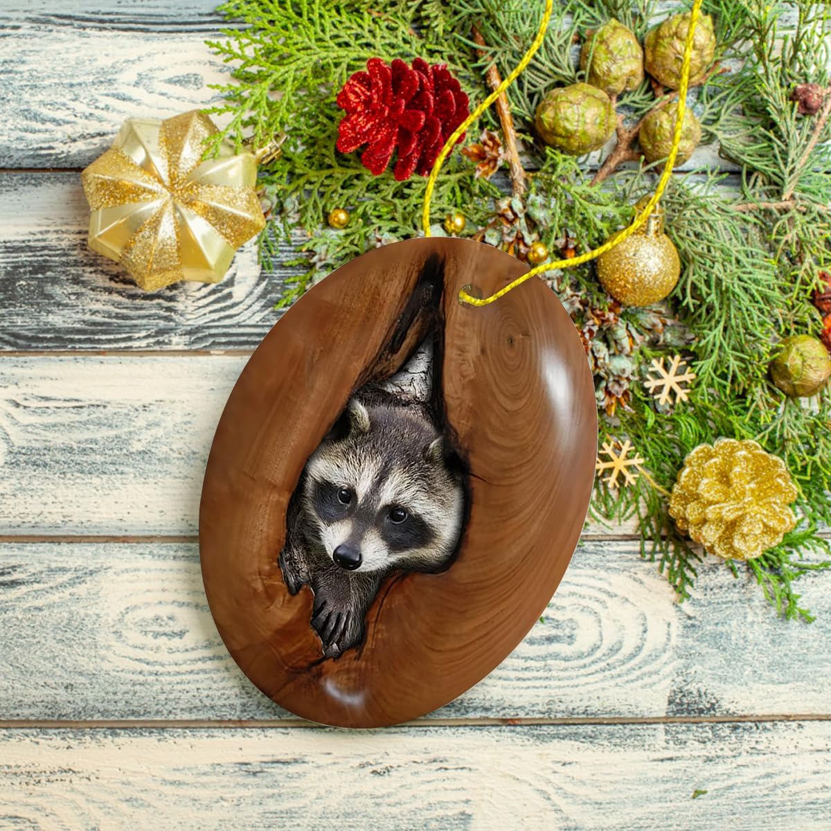 Amazon.com: Raccoon in Nest Ceramic Oval Ornament, Gift for Raccoon ...