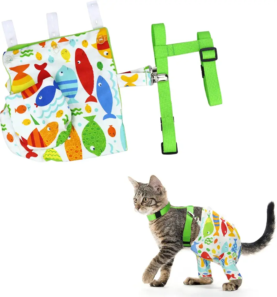 Can A Cat's Dislocated Leg Heal On Its Own? | PetShun