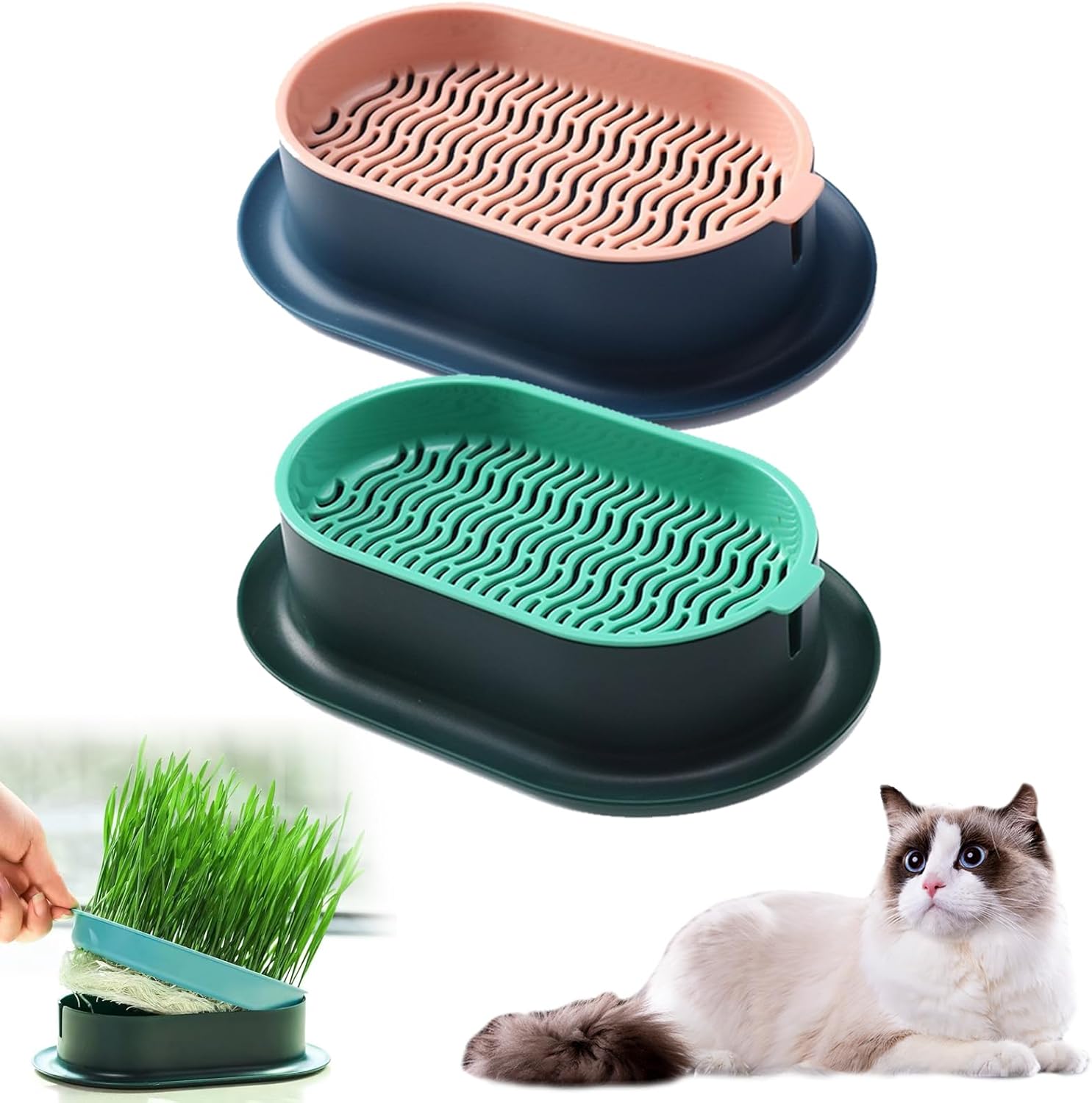 Amazon.com: AEdlAy Cat Grass Planter(no Seeds Included), Cat Grass for ...