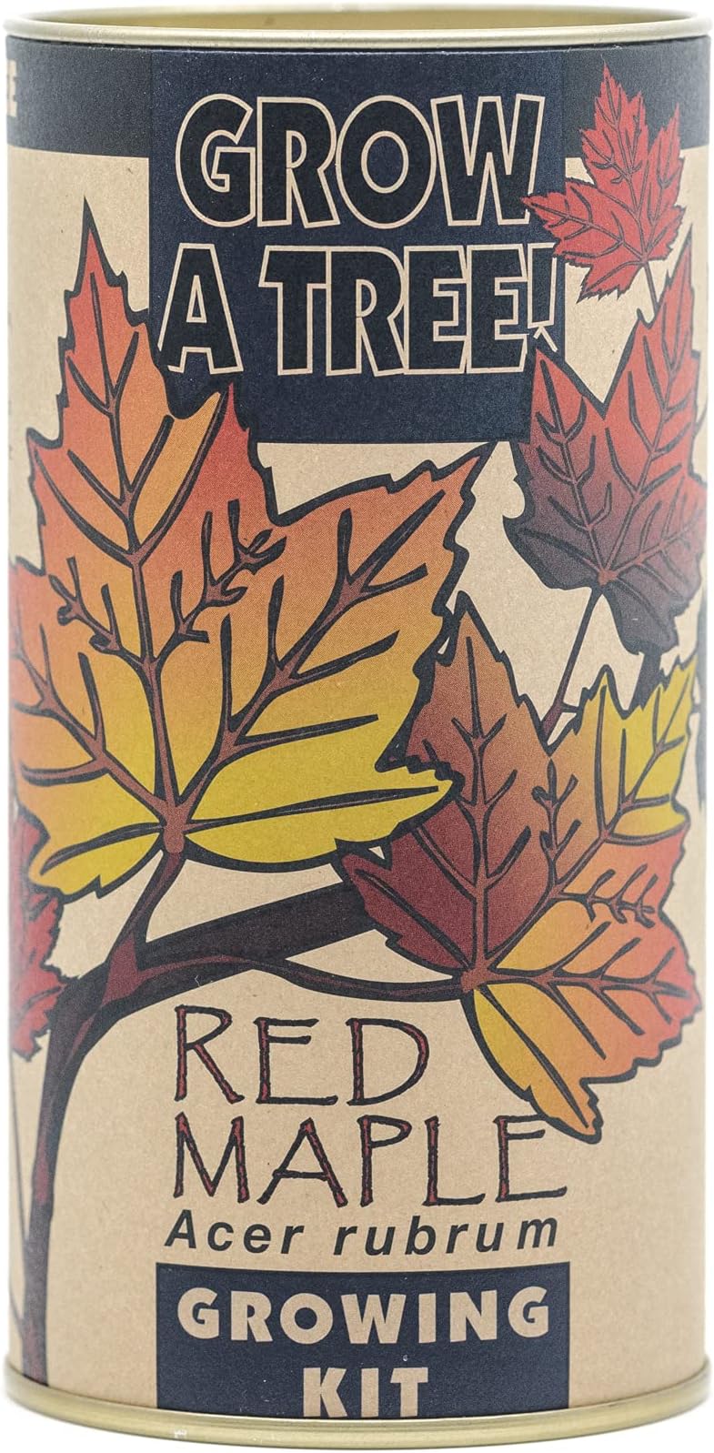 Amazon.com : Red Maple | Tree Seed Grow Kit | The Jonsteen Company ...
