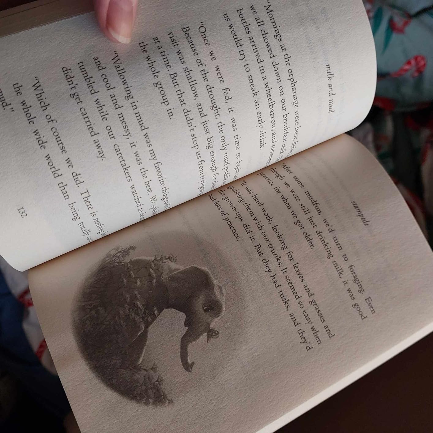 The One and Only Ruby: The third book in the series of children’s ...