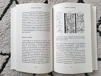 CERVEAU ET NATURE : Le Van Quyen, Michel: Amazon.fr: Livres